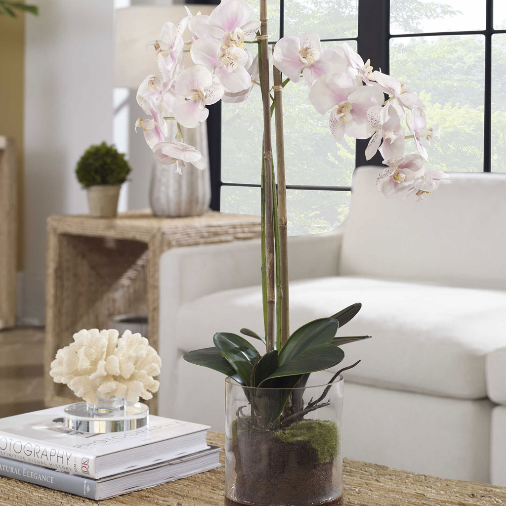 Visual Merchandising - Indriya Official